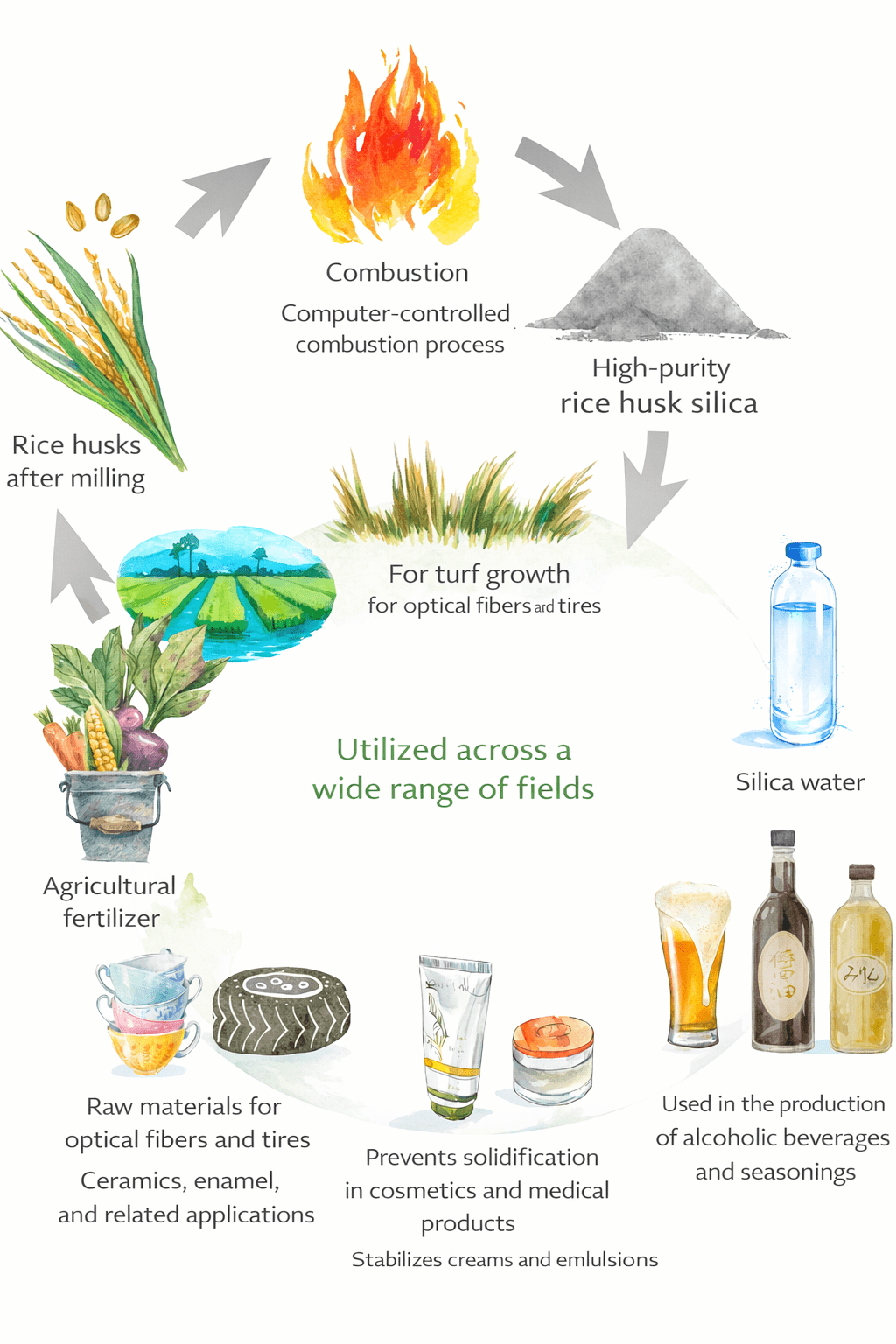 What is Rice Husk Silica? – 株式会社ニューシリカジャパン